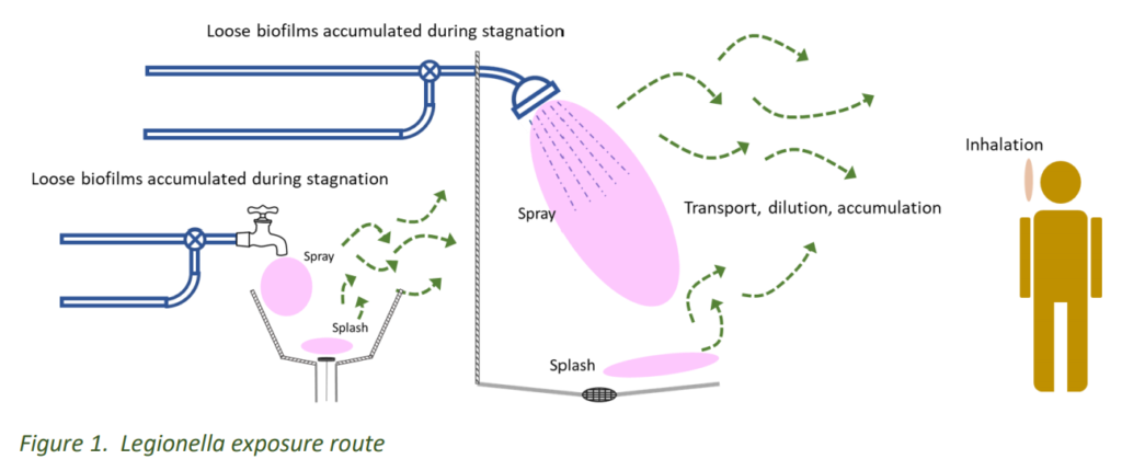 Legionella Exposure Route | Will County Health Department